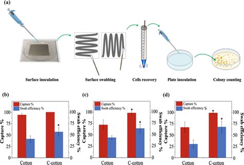 A Schematic Representation Of The Surface Swab From An Inoculated Download Scientific Diagram