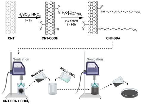 Schematic Representation Of The Carbon Nanotubes Cnts Modification
