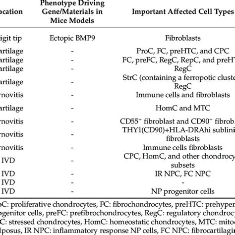 Application Of Single Cell And Spatial Omics To Decode Cartilage Or