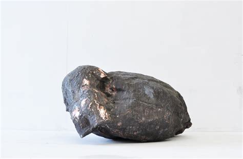 Humanoid Fossil Ii Marius Ritiu