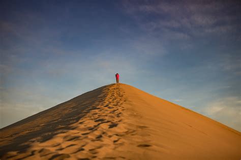 Becoming Your Apex Self In Fitness A Comprehensive Guide To Achieving Your Peak Potential