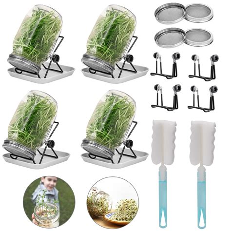 Best Organic Sprouting Kits For Home Gardening Thegrow