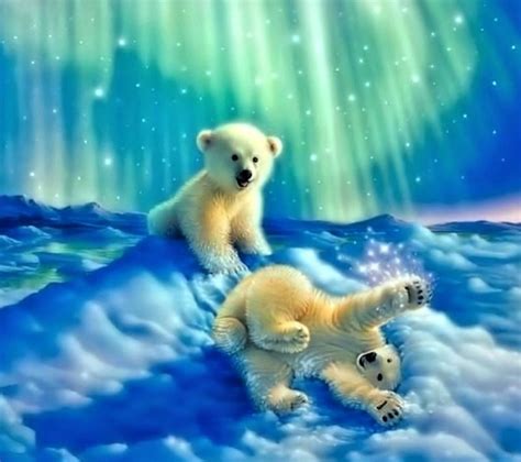 Cute Polar Bear Pictures