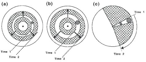 Diagrams Showing The Principle Underlying The Analysis Of Receptive