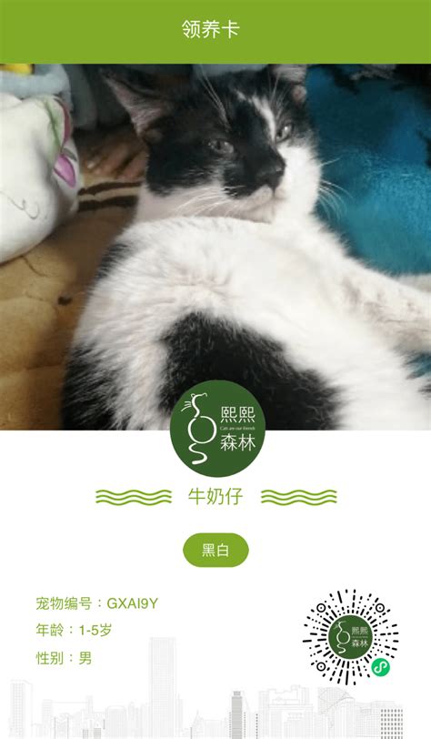 领养汇总3月第二期 妹妹