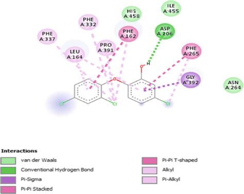 Amino Acids Involved In The Interaction Download Scientific Diagram