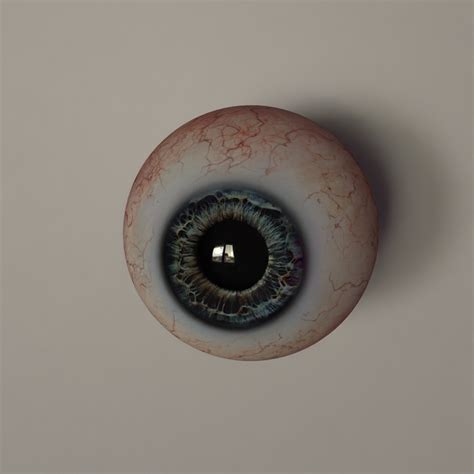 3d Eyeball Anatomic Based Model Turbosquid 2011150