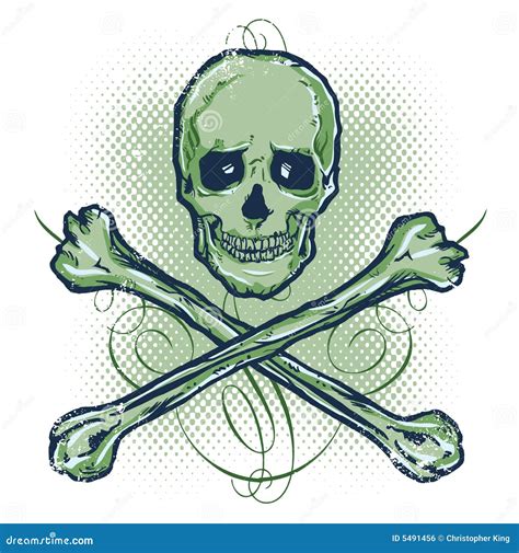skull and crossbones vector illustration stock vector illustration of