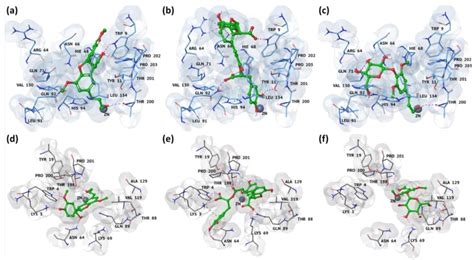 3d Representations Of The Binding Mode Of A D 6 B E 12 And C F