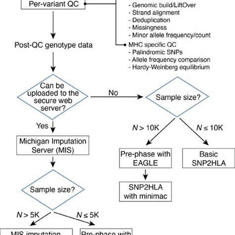 A Flow Chart Of Suggested Analytical Steps For Genotype QC And HLA