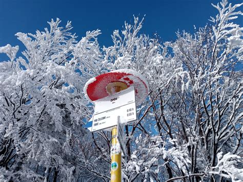 Počas voľna treba zájsť na hory tipy na zimné výlety Žilinský večerník
