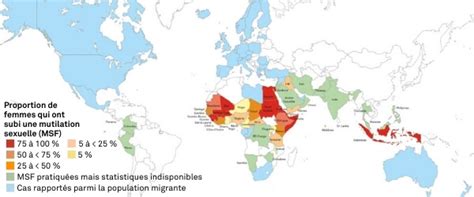 “les Mutilations Génitales Féminines Sinscrivent Souvent Dans Un