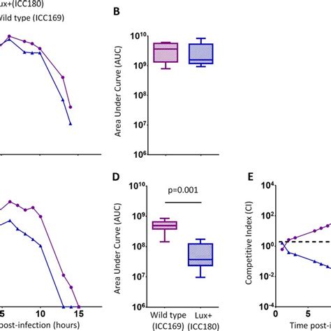C Rodentium Icc180 Is Not Impaired During Growth In A Rich Laboratory