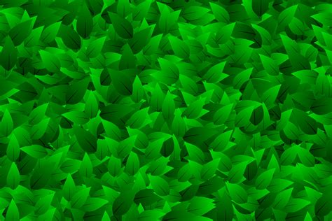 Green Leaves Texture 4679539 Vector Art At Vecteezy