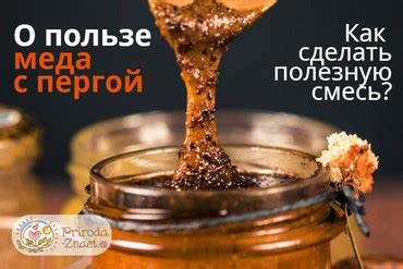 Мед с мумие – характеристики и показания к применению
