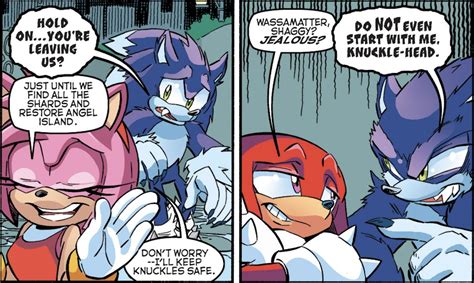 Sonic The Werehog And Amy Comic