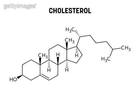 Cholesterol Structural Formula Of Molecular Structure 이미지 1664048458