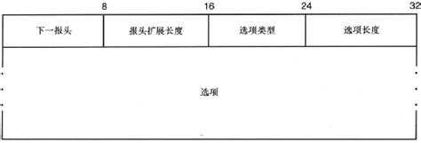ipv6技术精要 第3章 对比ipv4和ipv6 ip流量类型 csdn博客