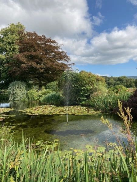 Cadhay Ottery St Mary Ngs Gardens