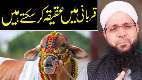 Qurbani Main Aqiqah Kar Sakte Hy Mufti Azhar Hussain Shah Youtube
