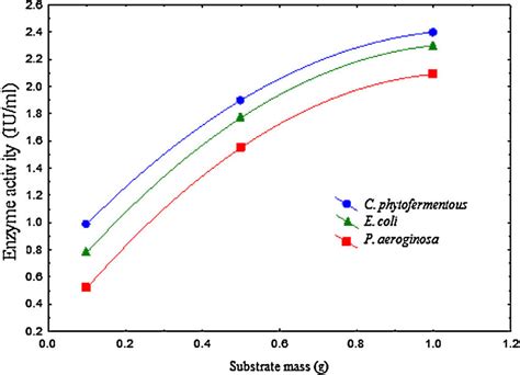Enzyme Activity As A Function Of Substrate Concentration For Each 1 L