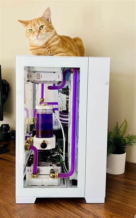 my first custom loop direct die 13900ks builds gg