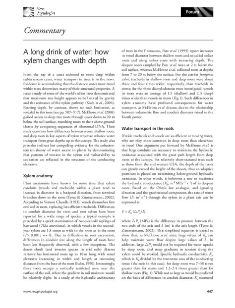 Pdf Phenotypic Plasticity Despite Sourcesink Population Dynamics In