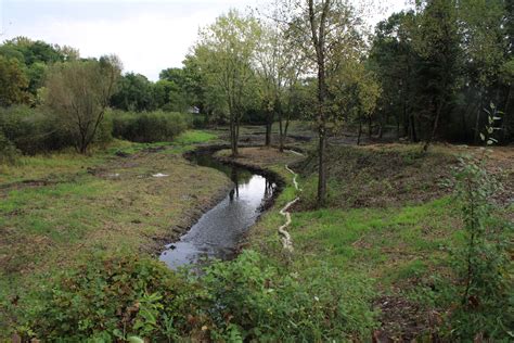 Volunteer Tree And Shrub Planting Browns Creek Watershed District