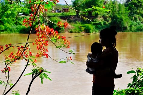 Sexual And Reproductive Health And Research Srh