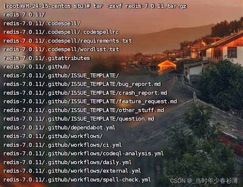 Redis Linux