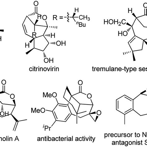 Selected Bioactive Molecules Containing Bridged 4 2 1 Lactones