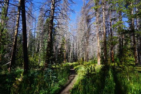 Devils Thumb Trail Go Hike Colorado