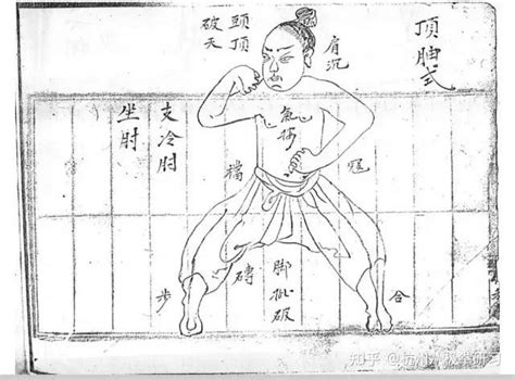 八极拳初级桩架分享 知乎