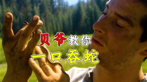 荒野求生：贝爷才是食物链顶端的人，饥饿的时候，蛇也能一口吞！ Youtube