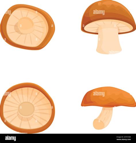 Shiitake Icons Set Cartoon Vector Asian Shiitake Mushroom Or Fungi
