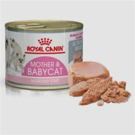 15 Rekomendasi Makanan Basah Kucing Terbaik Bagus Dan Murah