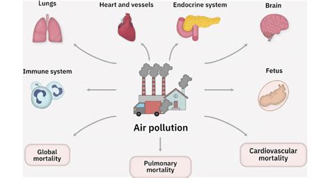 Effects Of Air Pollution On Human Health 5 Unusual Health Effects Of
