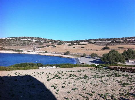 Lioliou Beach Hotel Reviews Photos