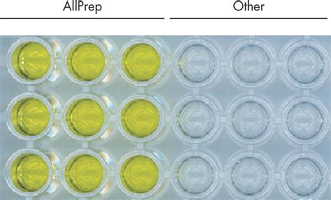 Allprep Rnaprotein Kit