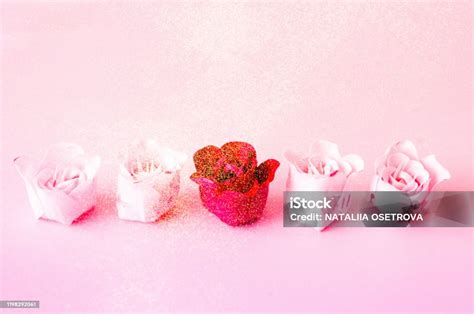 분홍색 배경에 로즈 버드에서 축제 개념 발렌타인 인사말 카드 또는 텍스트 디자인의 템플릿 모형 0명에 대한 스톡 사진 및 기타