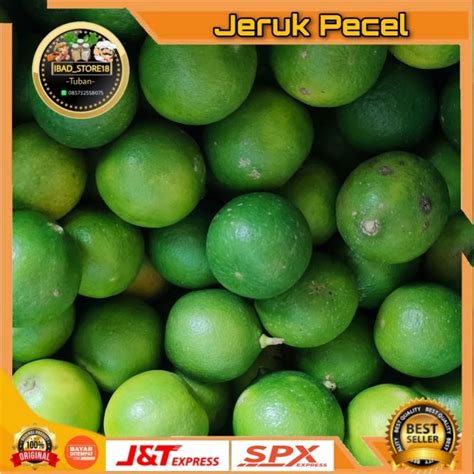 Jual Jeruk Nipis Buah Segar 500gr Shopee Indonesia