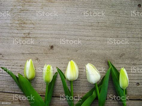 메시지에 대 한 공간을 가진 나무 배경에 튤립입니다 어머니의 날 배경입니다 상위 뷰 4월에 대한 스톡 사진 및 기타 이미지