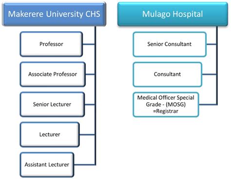Uk Hospital Staff Hierarchy Doctors Titles Explained Fbqa