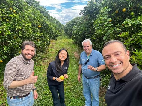 Nutrienbr Citrus Connection Divah Su