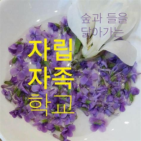 숲과 들을 닮아가는 자립자족학교 숲과들을 닮아가는 자립자족학교 덜 소비하고 덜 일하고 더 행복하고 더 자연스럽게 살아가기위한 자립자족학교 적당한기술 편 엄청난 난
