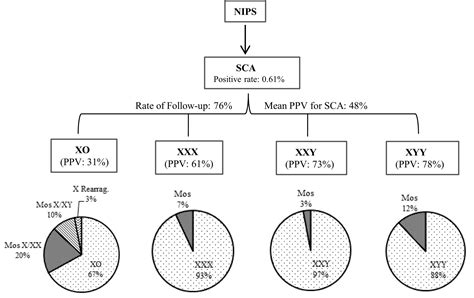 Diagnostic Cytogenetic Testing Following Positive Noninvasive Prenatal