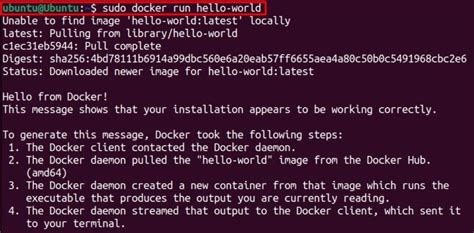 The Complete Docker Installation On Ubuntu Dracula Servers Tutorials