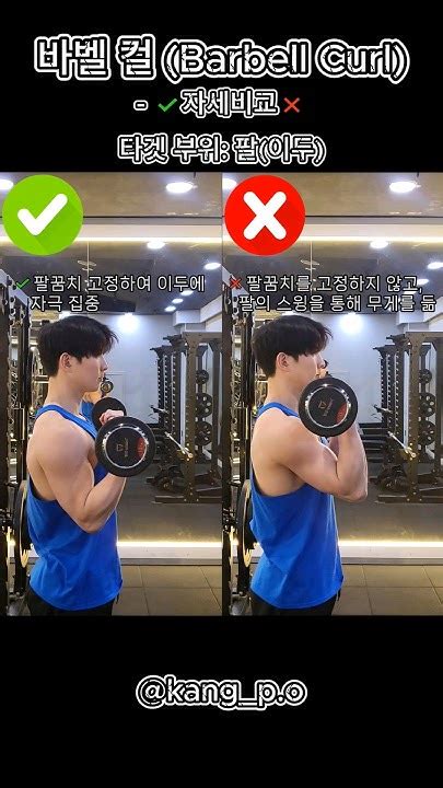 바벨컬 많이하는 자세실수 비교영상입니다 바벨컬 팔운동 바벨운동 이두운동 이두근 헬스 Youtube