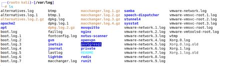 Kali下面的varlog中没有secure日志文件 码士集团官网 It职业领路人