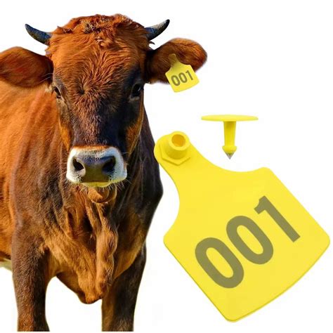 Yellow Pvc Plastic 18x52mm Cow Ear Tag At ₹ 10piece In Patna Id